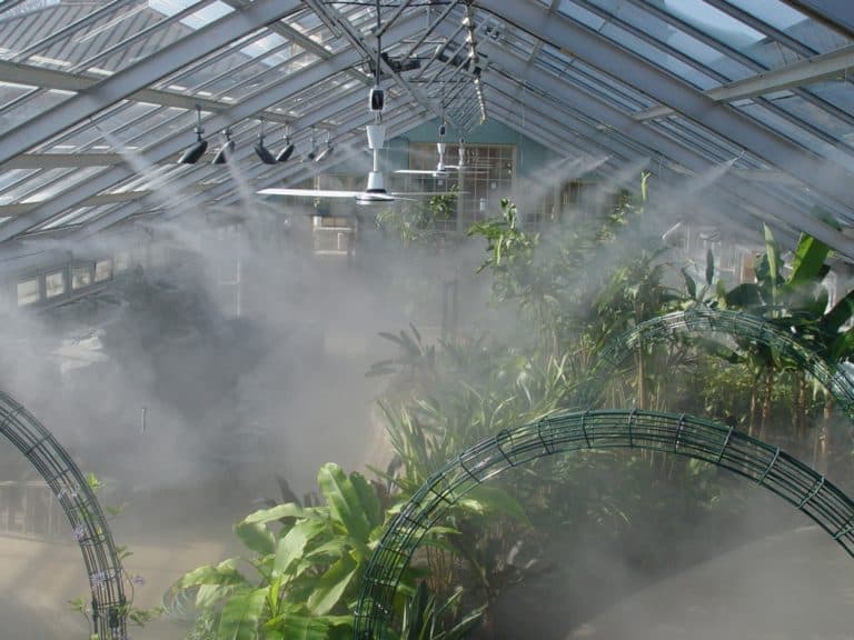 What Temperature Should A Greenhouse Be? - Greenhouse Info